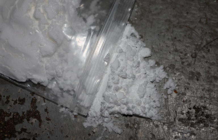 Bretagne : 13 kilos de cocaïne et des centaines de milliers d’euros ...