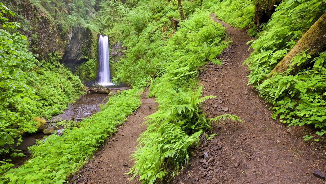 4 short scenic waterfall trails in Oregon
