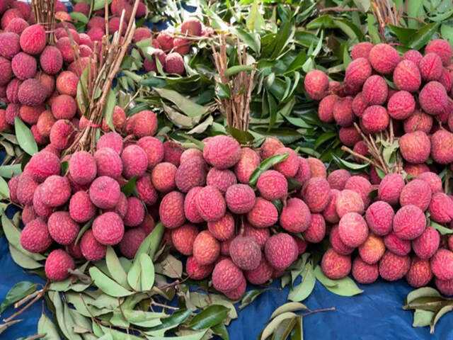 How to identify organic litchis: Tips for summer fruit lovers