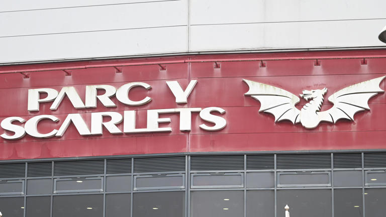 Scarlets sign Welsh-qualified Murray-Macgregor