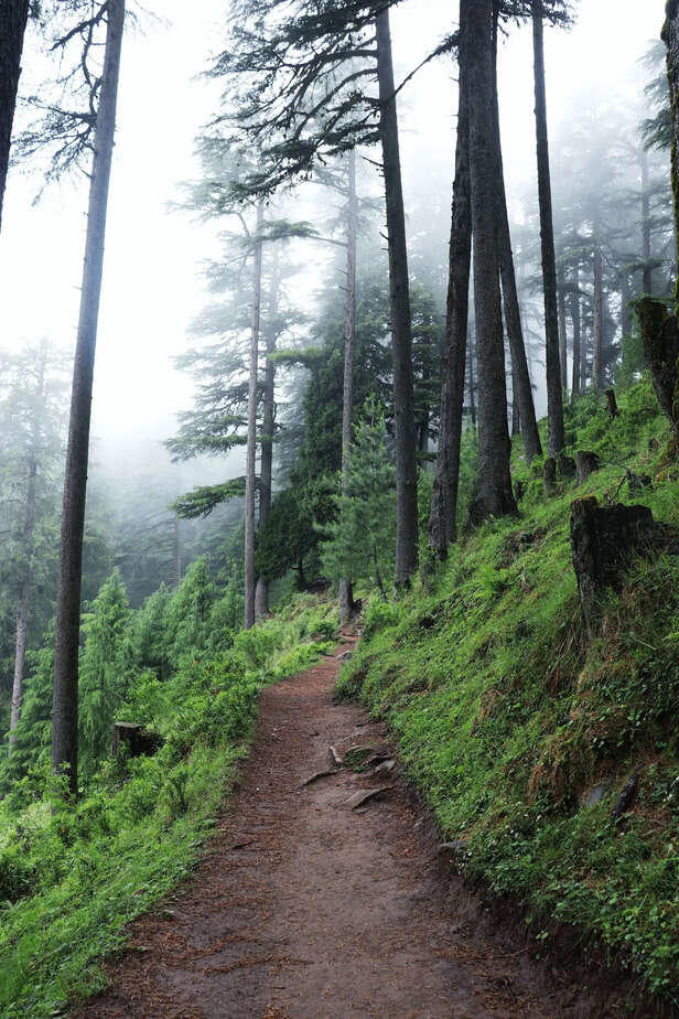 Weekend loading... 5 hidden escapes near Delhi that are perfect for a ...