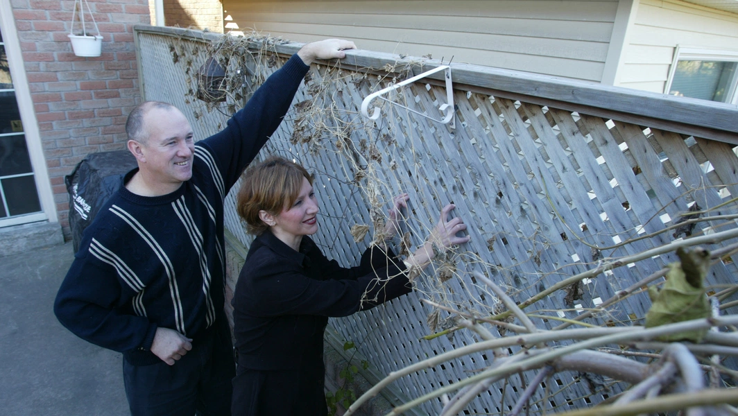 Understanding fence ownership and property line laws