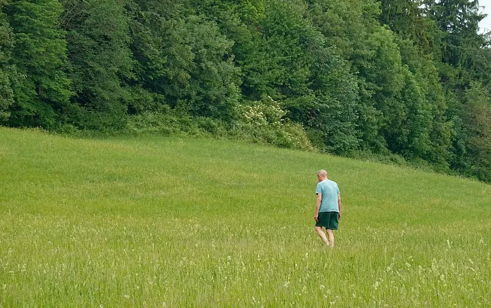 One-hour nature walk lowers brain stress activity, study finds