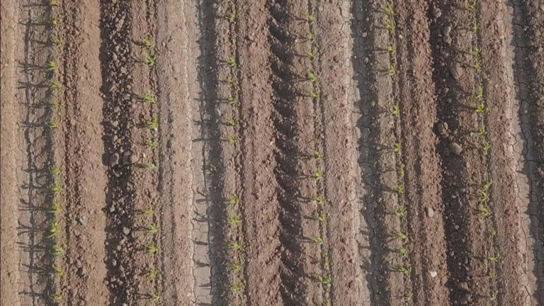 Farmers who grow some of Colorado's best-known crops deal with water ...
