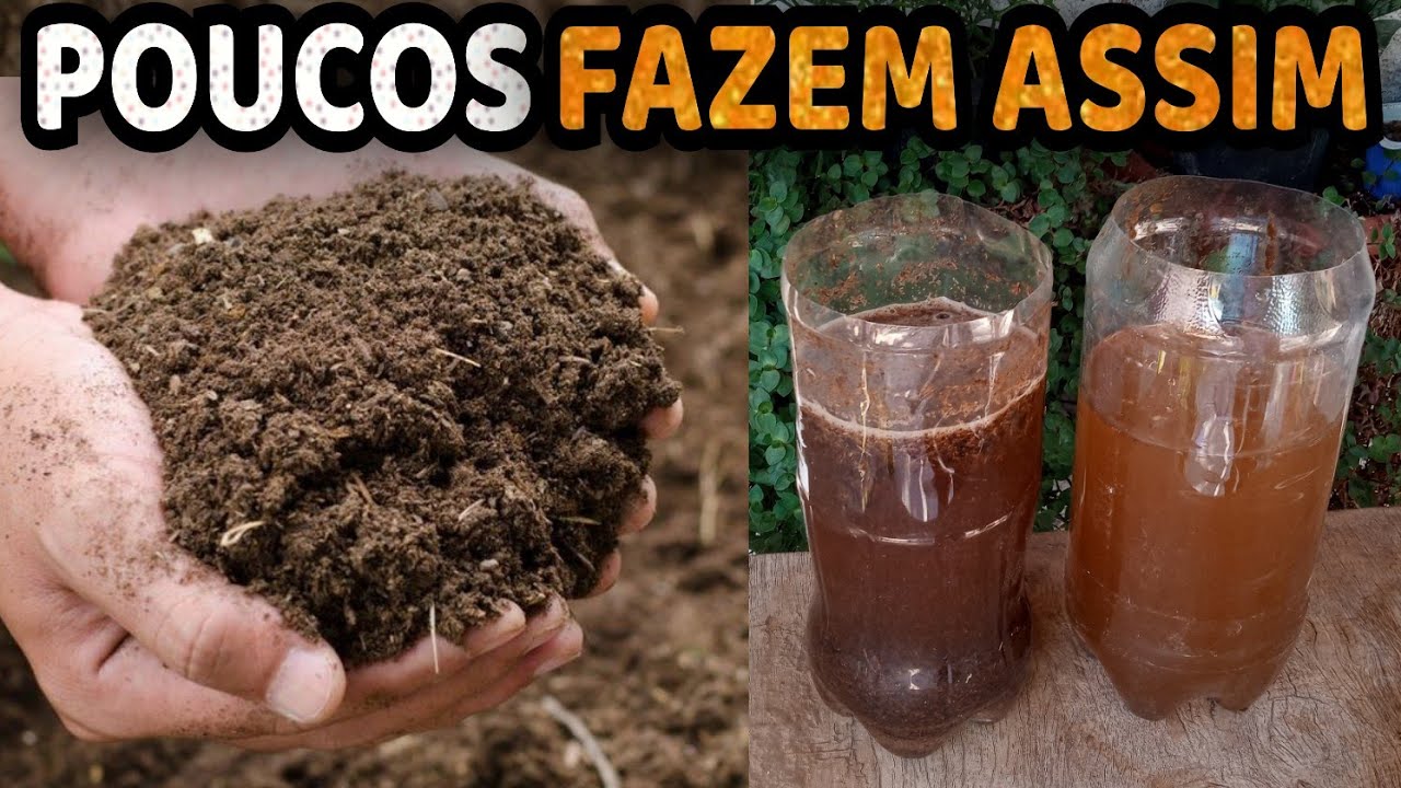 Como curtir esterco rápido e do jeito certo