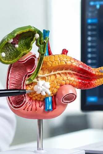Pancreatic cancer: Understanding the disease, its symptoms, and ...
