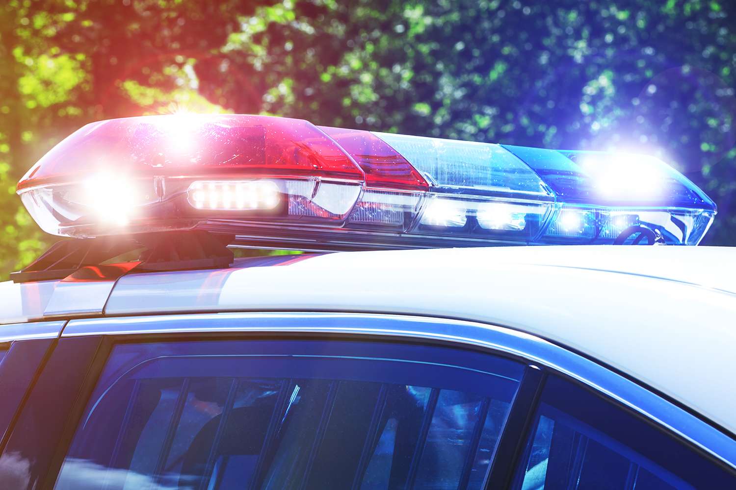 5-year-old girl dies after falling off playground structure and hitting ...