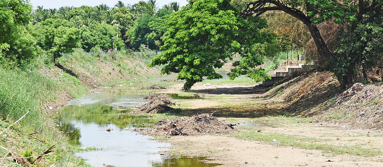Uyyakondan canal not fully desilted, water flow may be affected in TN ...