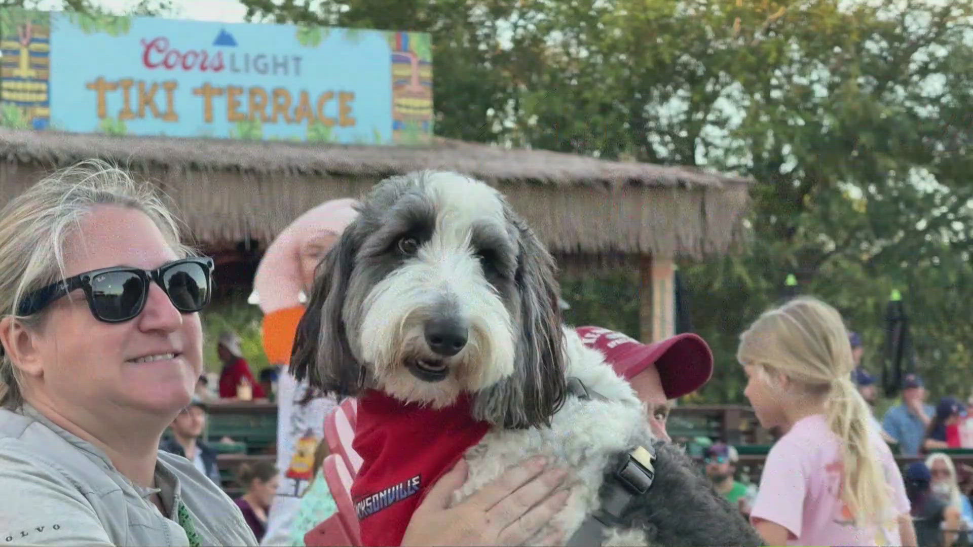 Dogs take over Vystar Ballpark for canines and crustaceans