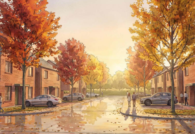 Cheap homes plan as housing associates reveals plans to build ...