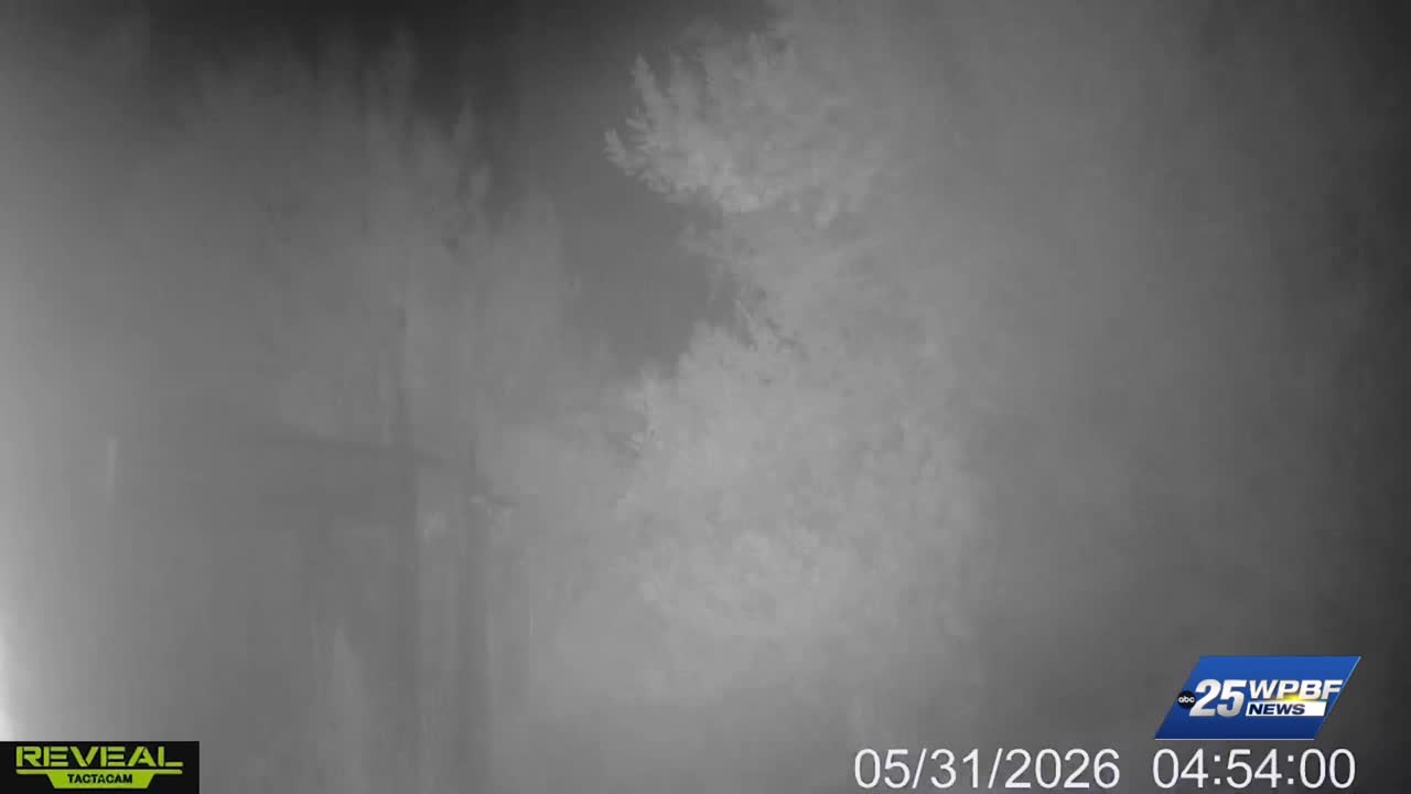 Black bear makes multiple visits to Port St. Lucie neighborhood