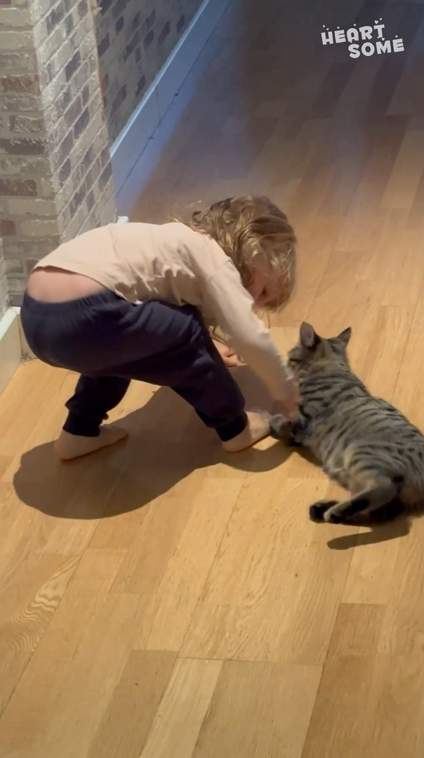 Little girl has the sweetest playtime with her cat