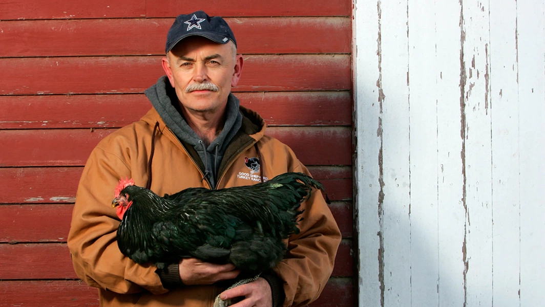 10 largest chicken breeds in the world