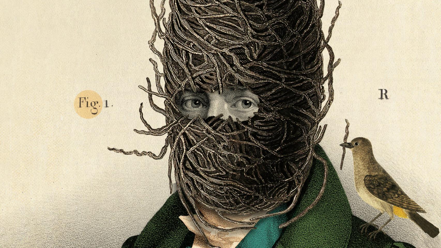 Los libros más esperados de junio: Delphine de Vigan, Mary Beard y ...