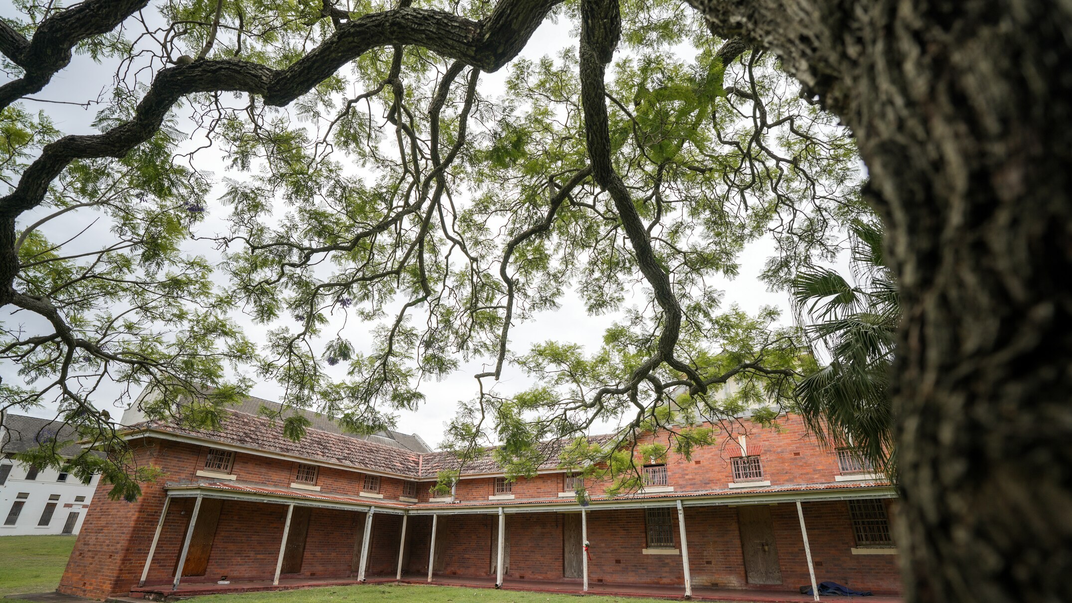 Queensland minister Tim Nicholls 'acknowledges trauma' of Wolston Park ...
