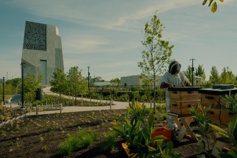 Inside the Obama Presidential Center