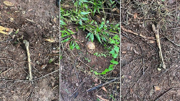 Skeletal remains of missing man found in abandoned mill in Odisha's Ganjam