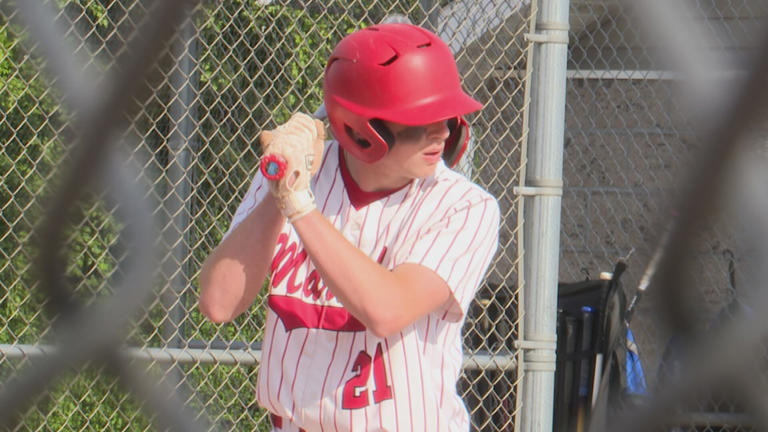 Seven area teams advance to WIAA baseball sectionals