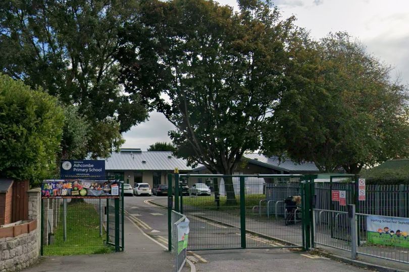 Ashcombe Primary School makes pupils feel safe and cared for but ...