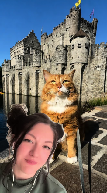 Traveling with your cat has never been this easy