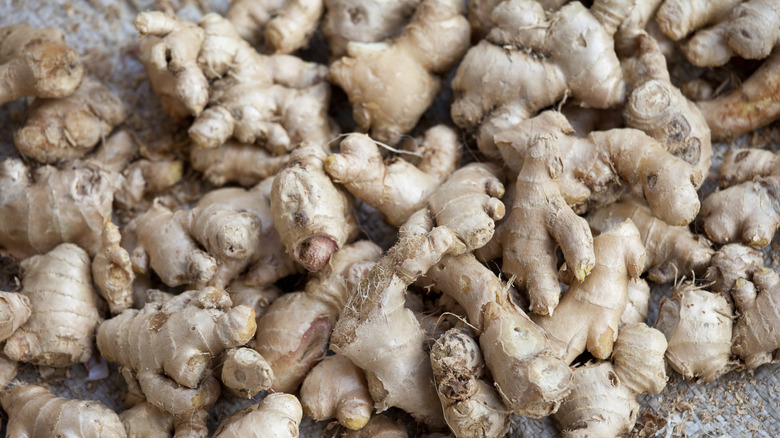 12 varieties of culinary ginger, explained