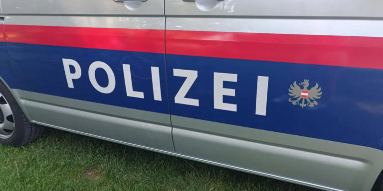 Betrunkener ging auf Ehefrau los: Festnahme in Villach