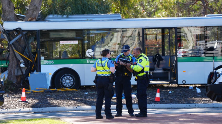 TransPerth bus crashes into tree in Wanneroo in Perth's north, multiple ...