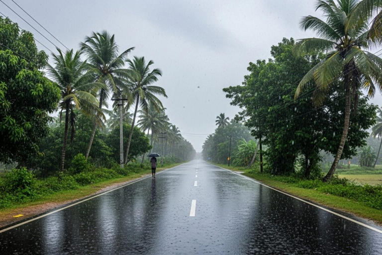 Kerala monsoon likely to arrive today; orange alert issued in 8 districts