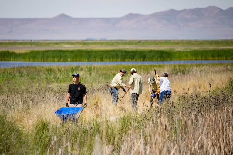 Rep. Celeste Maloy secures initial $10M in Utah’s bid for $1 billion in ...