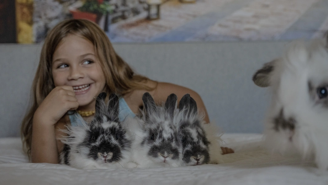 Bunny care tips every rabbit parent needs