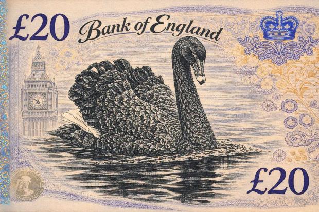 Swindon council calls for local black swan legend to appear on banknotes