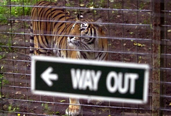 Much-loved zoo forced to close with £3.5million debt after 56 years