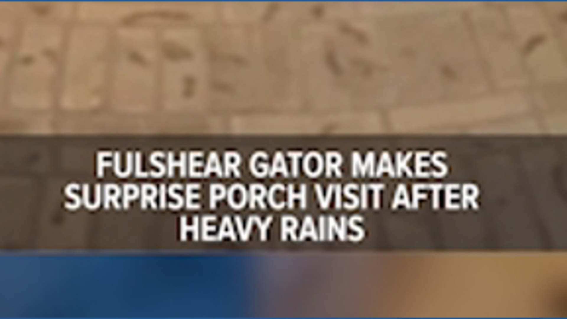 Fulshear gator makes surprise porch visit after heavy rains