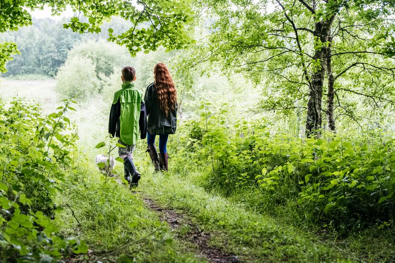 'Hidden gem' trail in Nottinghamshire with epic scenery is perfect for ...