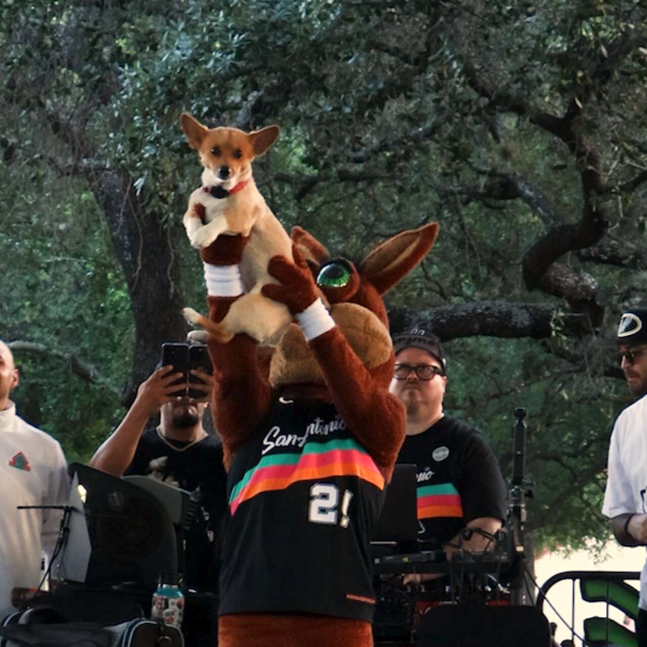 Meet Lilo, the clairvoyant corgi who predicted the Spurs' win over OKC ...