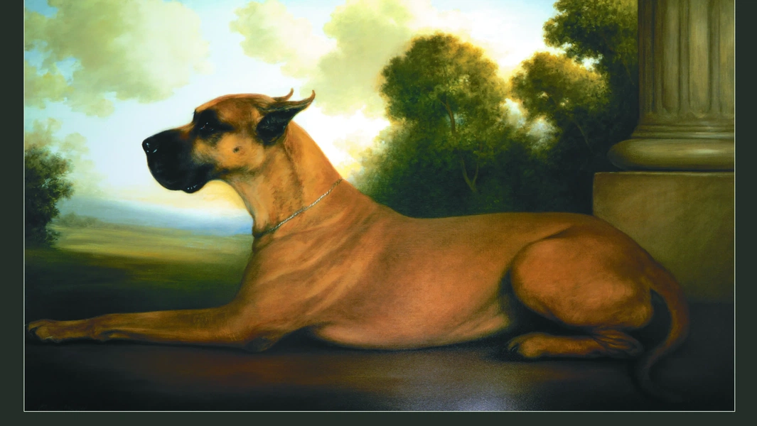 12 giant dog breeds with gentle, loving natures