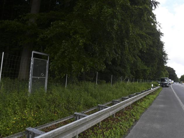 6000-Euro-Zaun könnte Tierseuche stoppen: Doch keine Behörde hält sich ...