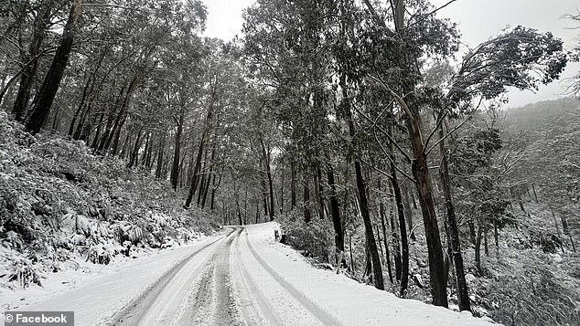 Aussies to brace for wild weather with blizzards, 90km/hour winds and ...