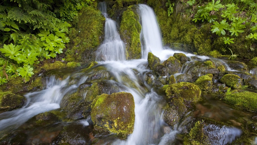 4 short scenic waterfall trails in Oregon
