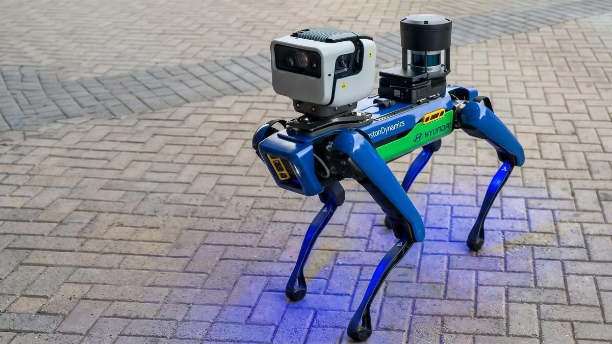 Los perros robot de Boston Dynamics se estrenan como vigilantes en el ...