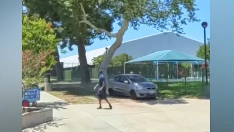 Watch: Man fleeing police drives through Little League game in California