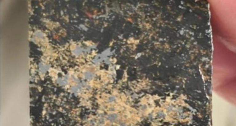 Chalice Mining identifies exceptional copper-rare earth target at Deep Blue