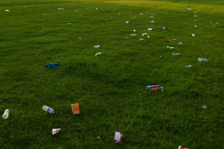 Disgust at litter left in grouds of Chatsworth House where lambs and ...