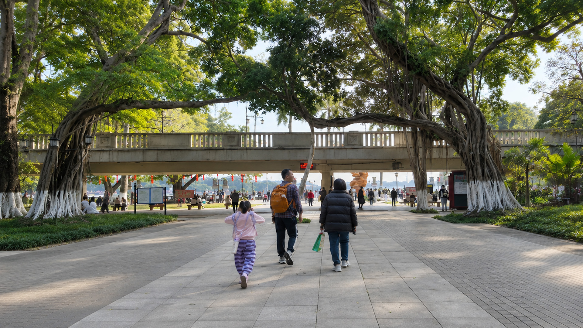 A hidden path where giant banyans frame every step