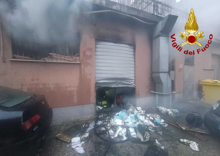 Fiamme nel pet shop. Muoioni alcuni animali
