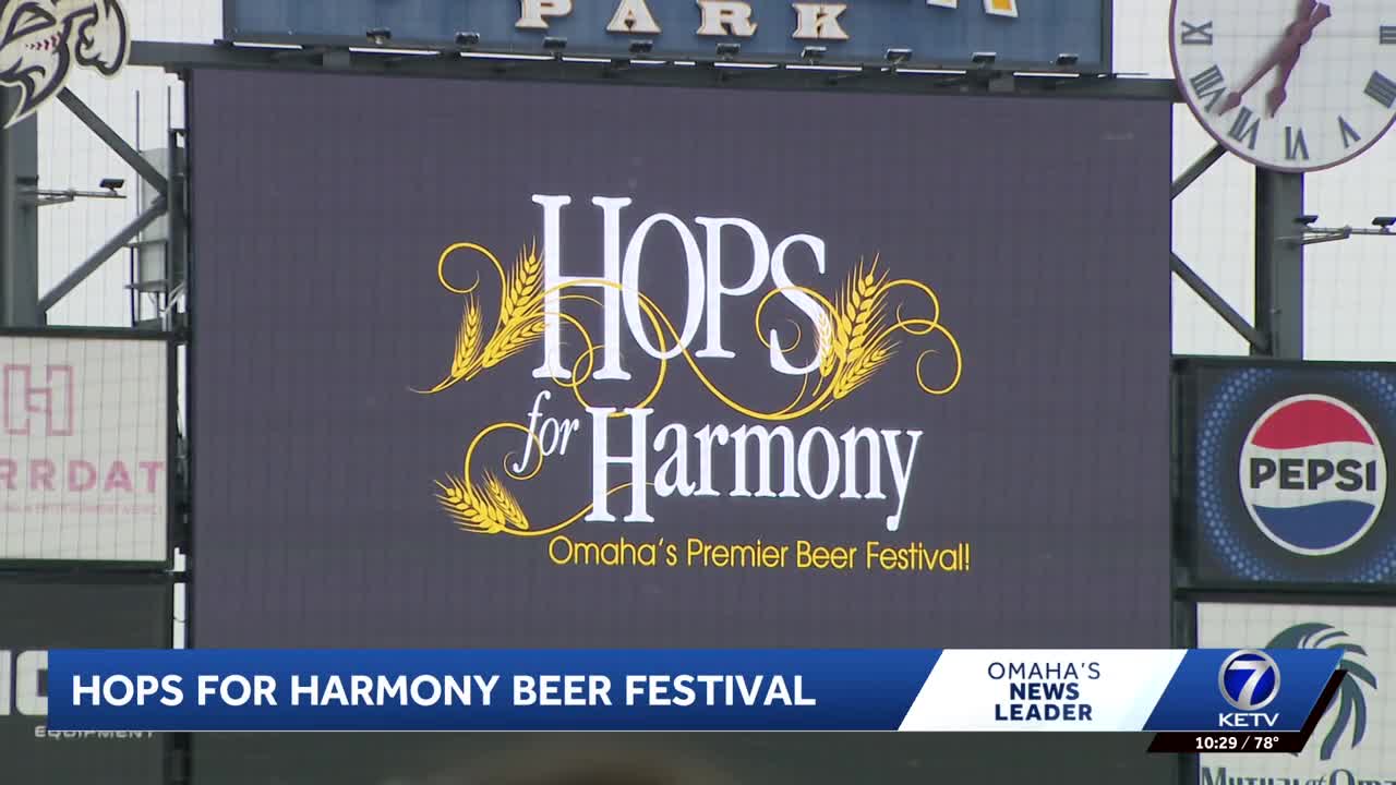 Papillion Lions Club beer festival supports Project Harmony