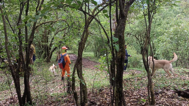 Uttarakhand MBA student seen on camera hours before going missing ...