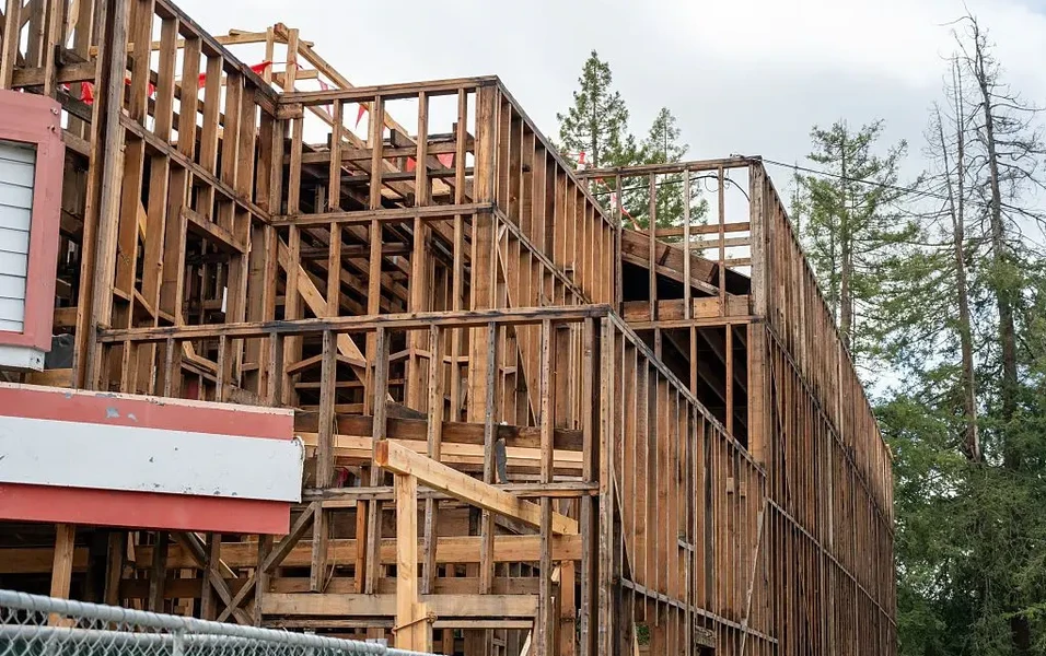 Why old wood still wins in building