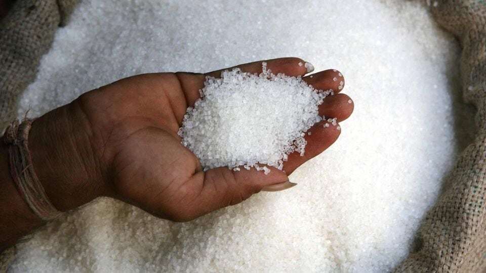 Balrampur Chini vs Dalmia Bharat vs Dhampur Sugar vs Shree Renuka Sugar ...