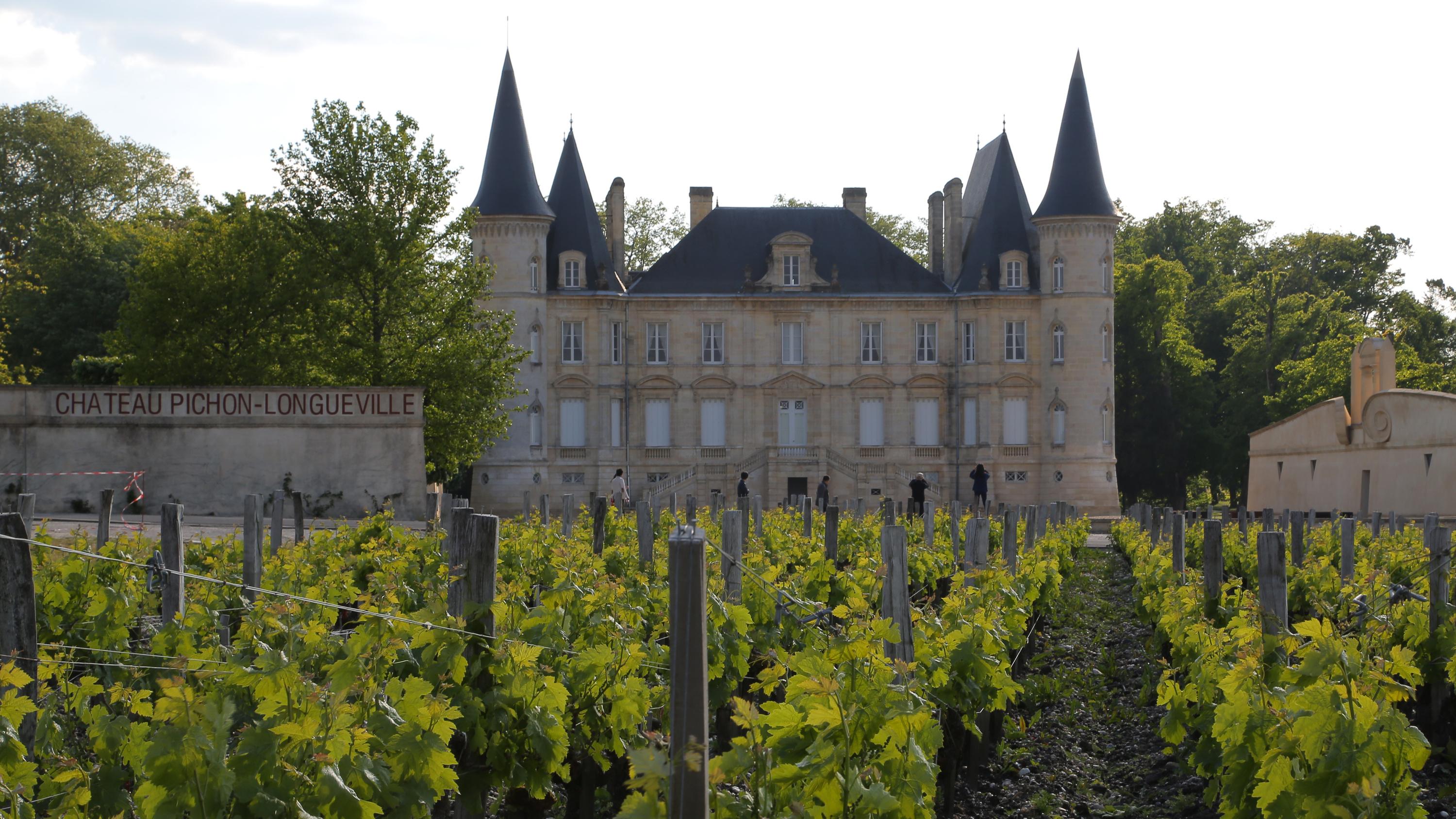 Ces 10 vins de Pauillac à ne pas rater sur le millésime 2025